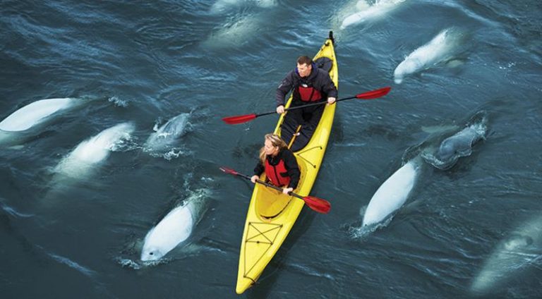 The 5 Best Kayaking Trips in Canada | Traveling Canucks