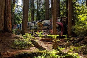 How to hike the Whistler Train Wreck trail in Whistler, British Columbia