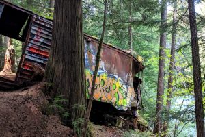 How to hike the Whistler Train Wreck trail in Whistler, British Columbia