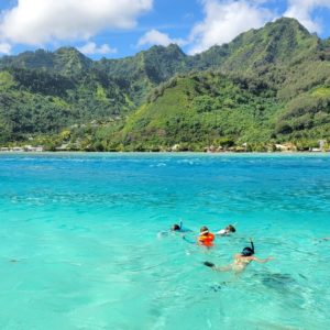 Swimming with Sharks and Stingrays in Moorea, French Polynesia